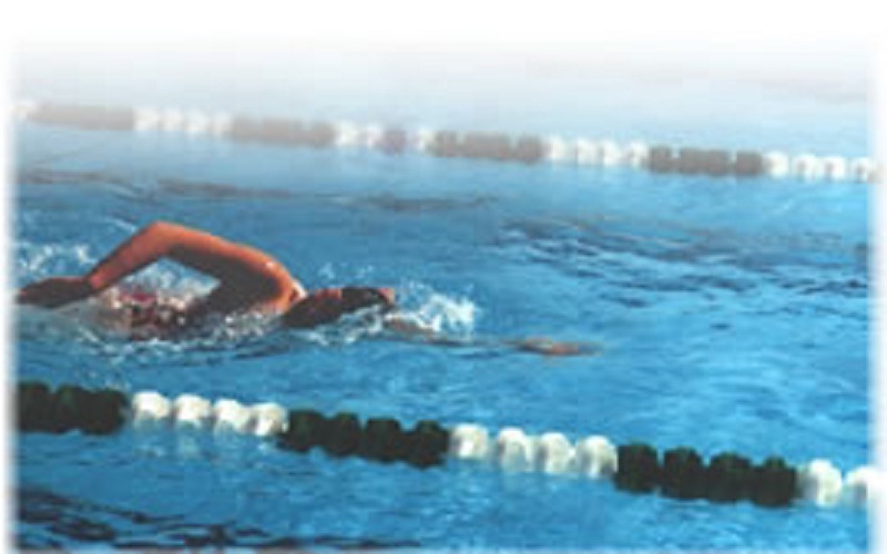 McDermott Pool | warwickri