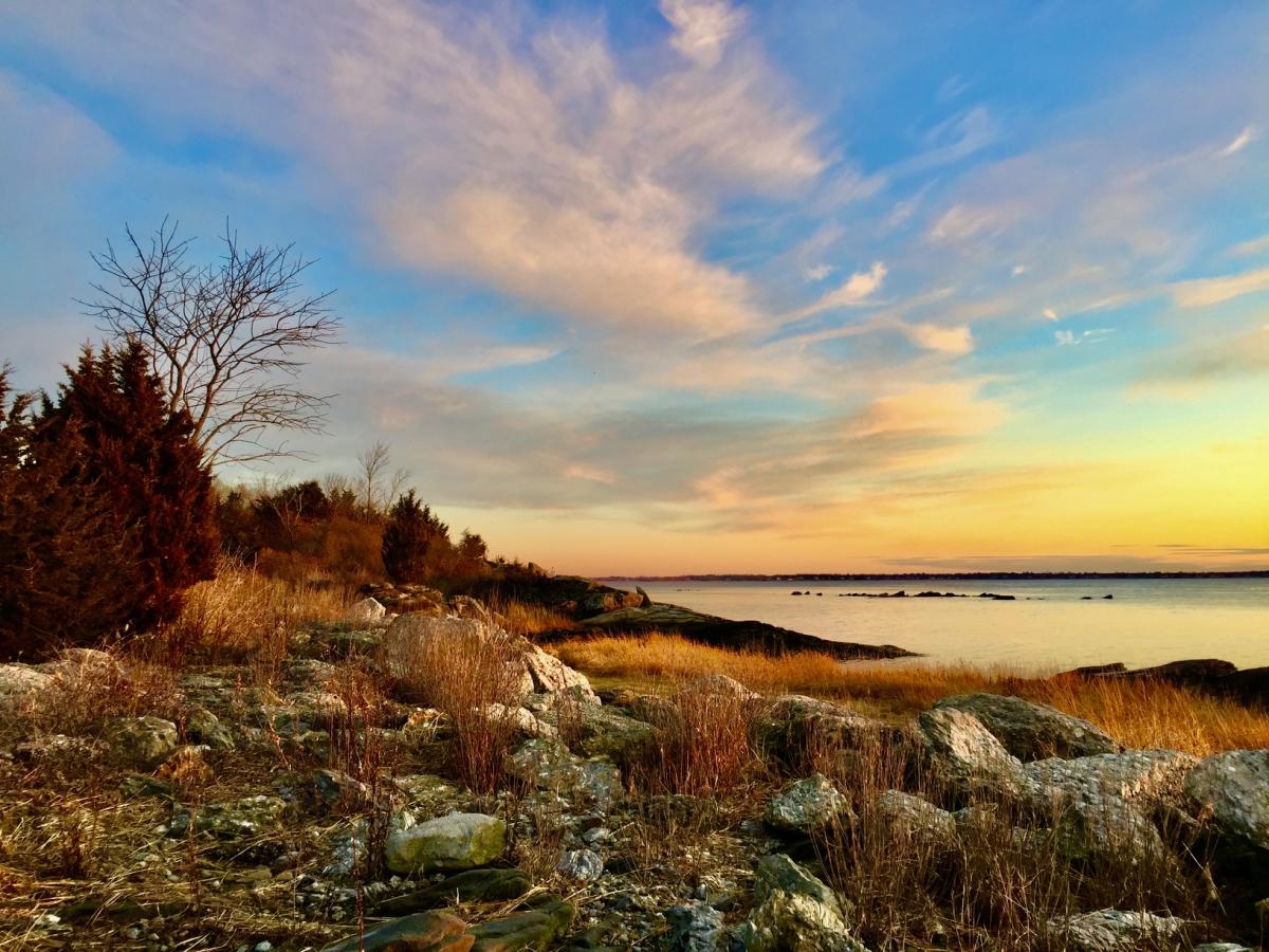 Vote for your favorite photos for the upcoming 2026 Warwick Calendar ...
