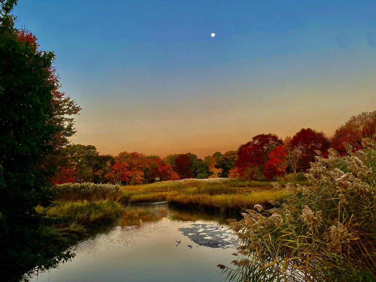 Vote for your favorite photos for the upcoming 2026 Warwick Calendar ...