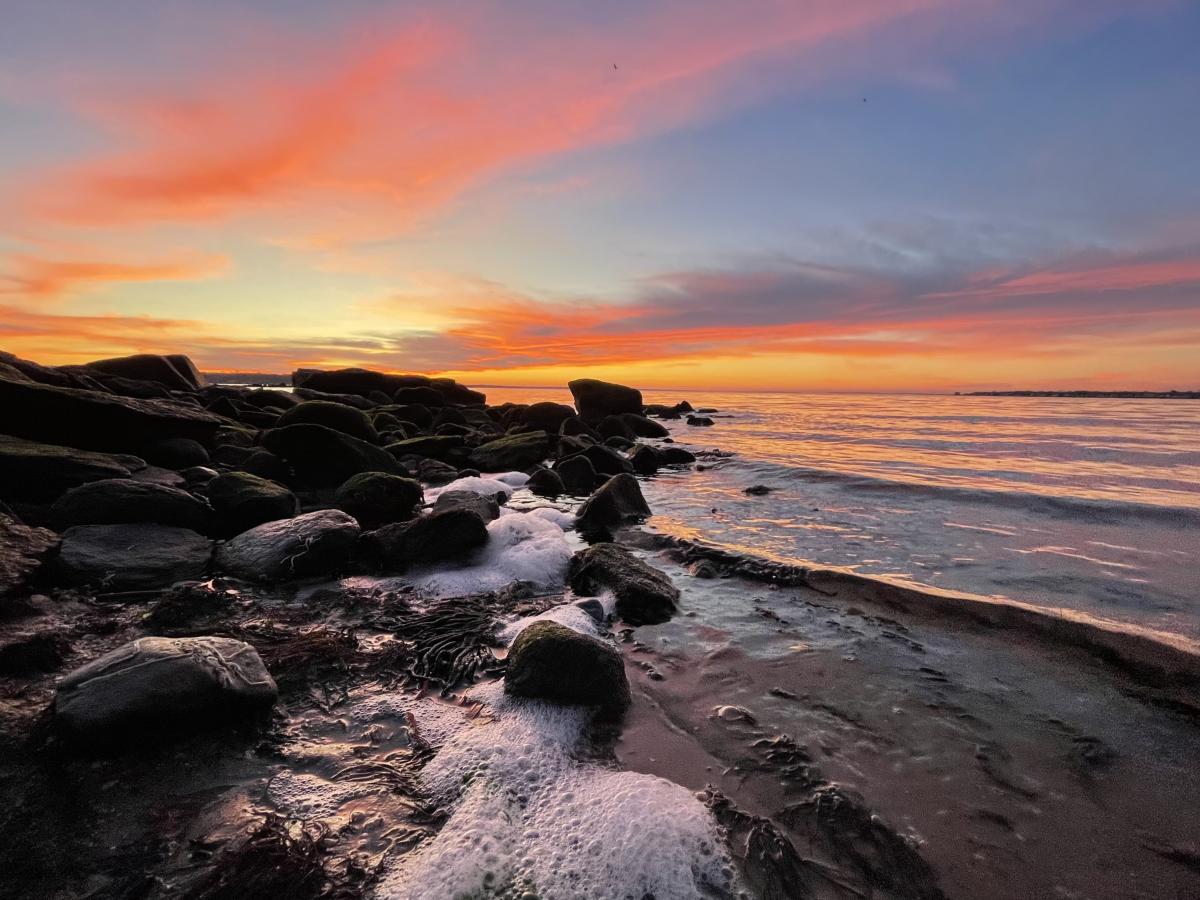 Vote for your favorite photos for the upcoming 2026 Warwick Calendar ...